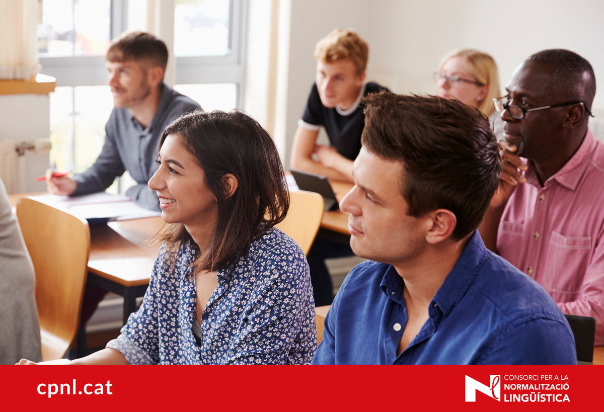 Nova línia d'ajuts per a ajuntaments, consells comarcals i entitats per organitzar cursos ...