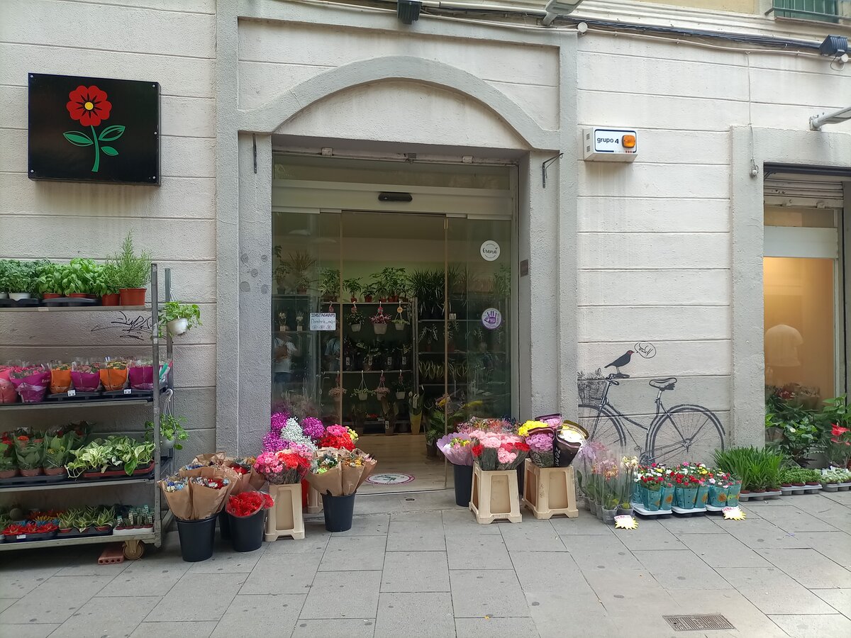 Nou establiment col·laborador del Voluntariat per la llengua | L'estat actual de la llengua ...