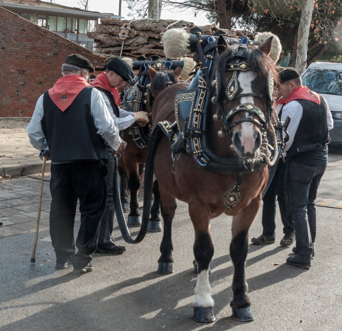 Els arriers de Cerdanyola apropen les tradicions als alumnes | Activitats al territori ...